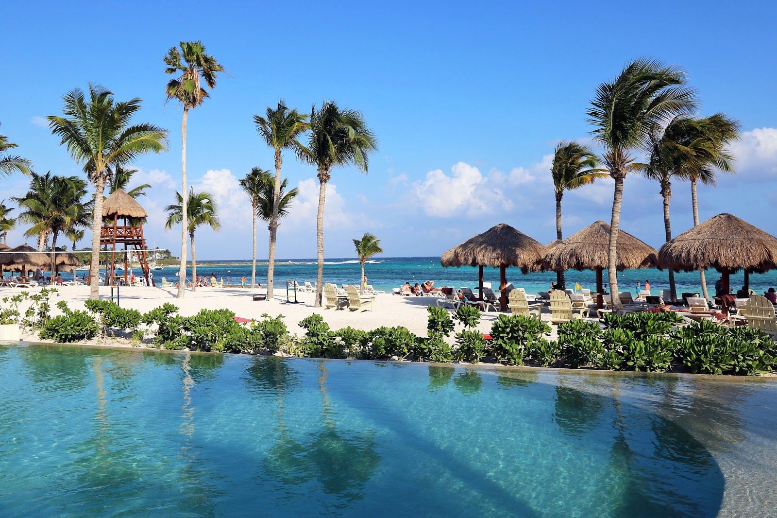 Wedding of Meagan Shank and Cory Nadeau – October 31st, 2025 at Secrets ...